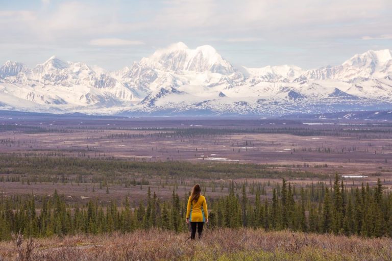 Road Trip Guide to the Denali Highway - Alaska on a Bootstring
